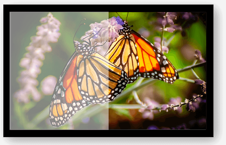 Shedding Light on Projection Surface Technology - Audio Visual ...